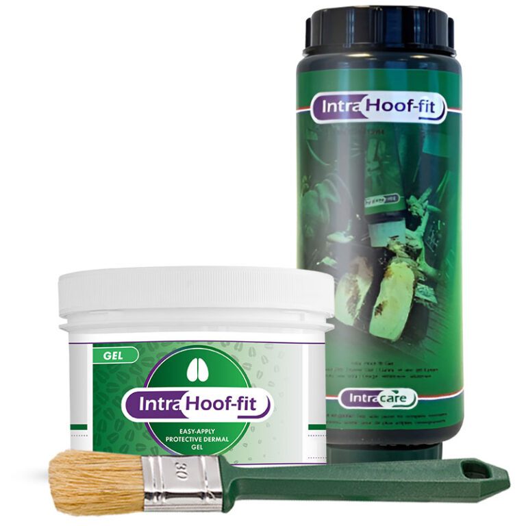 Lumpy Wool in Sheep: 6 Causes and Their Treatment